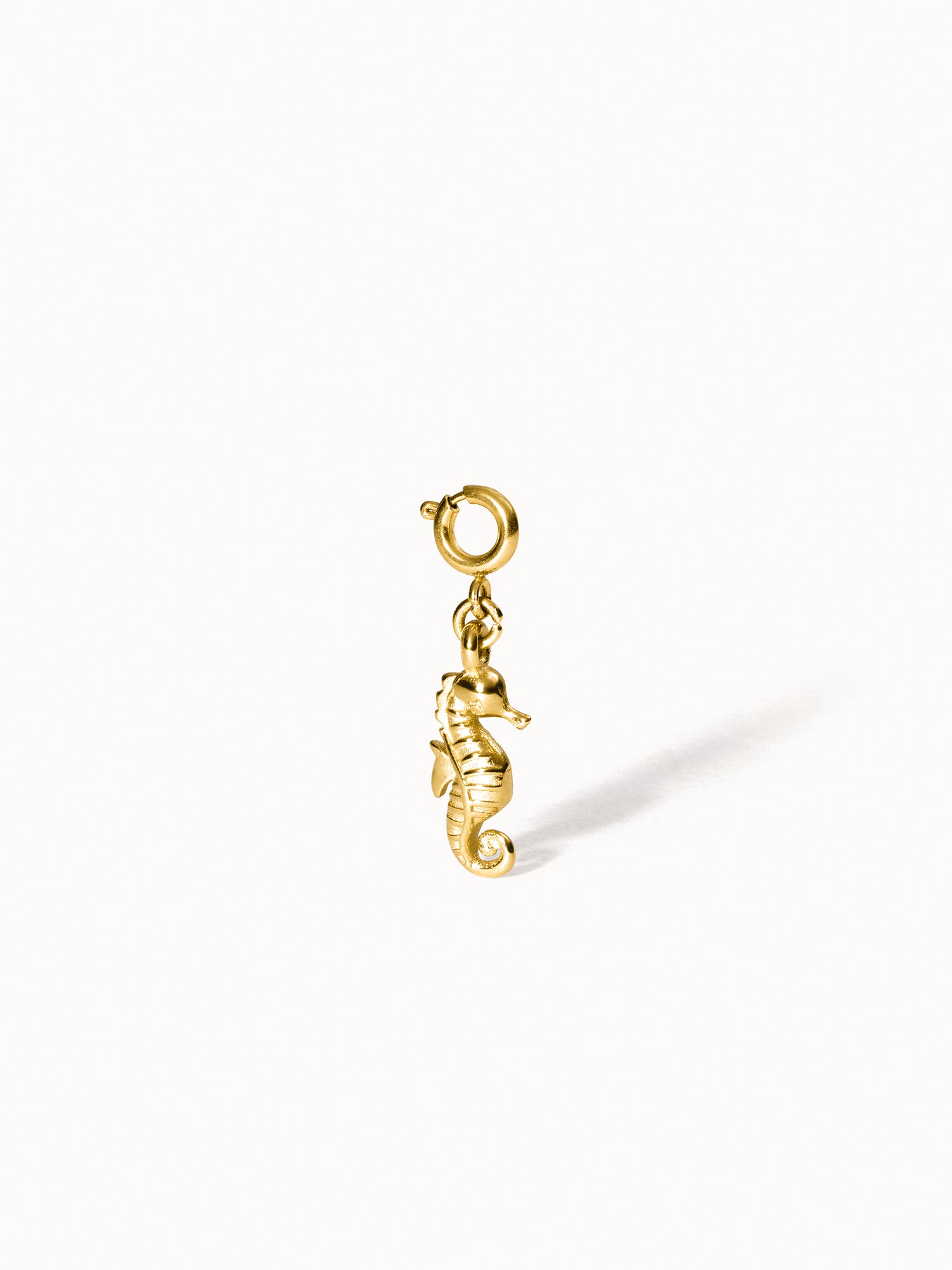 Flex Seepferdchen Charm – PURELEI