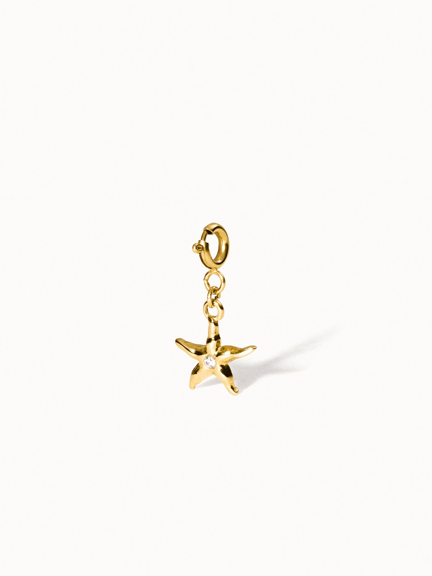 Starfish Flex Charm