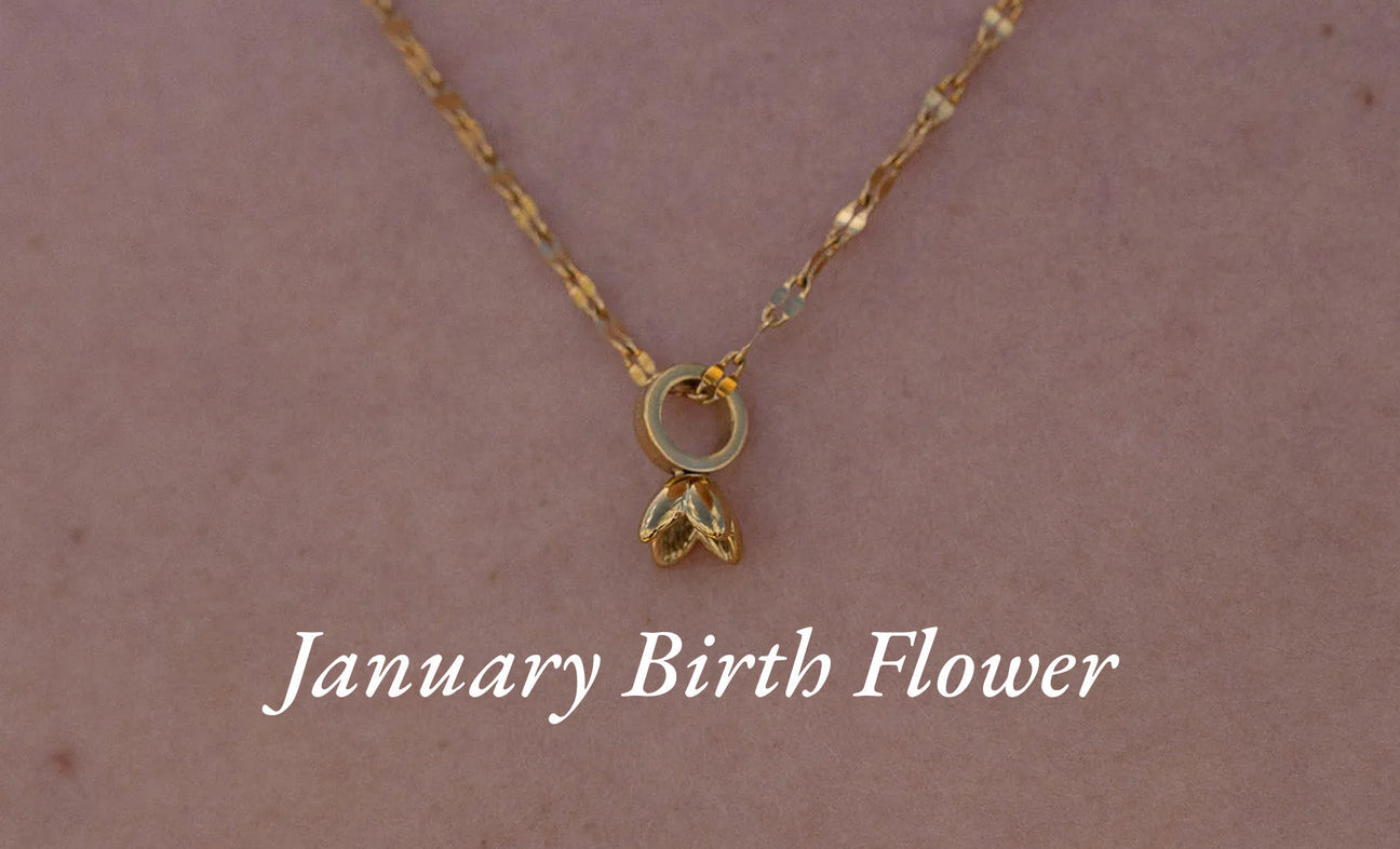 Geburtsblume Januar: Schneeglöckchen – Bedeutung & Symbolik – PURELEI